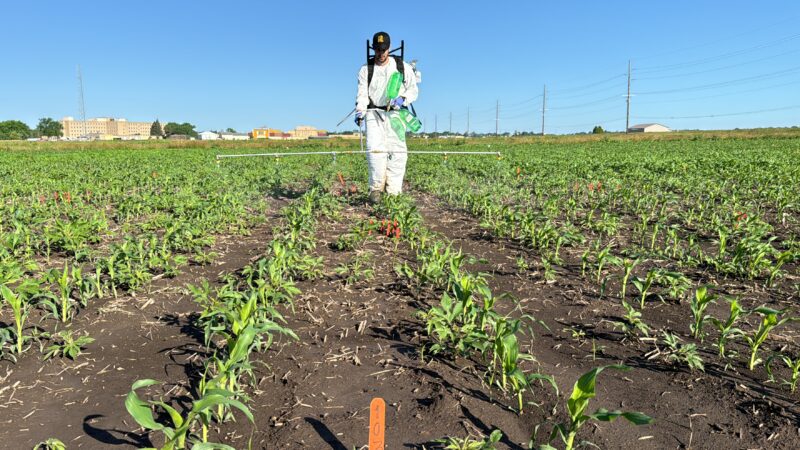 Badger Crop Network - Corn & Soybean Research & News
