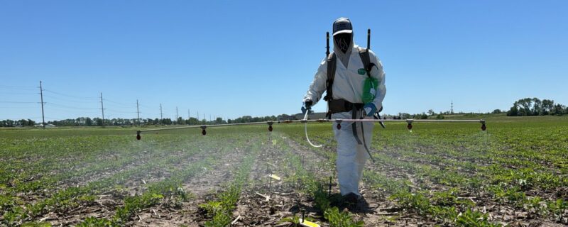 Badger Crop Network - Corn & Soybean Research & News